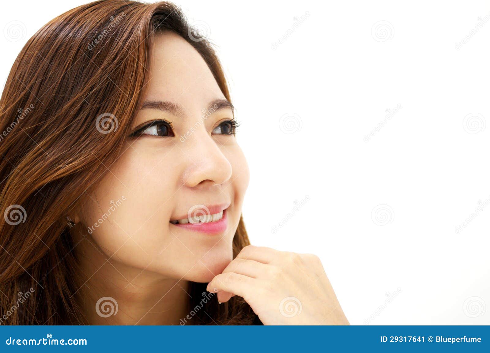 Friendly Smile stock image. Image of majestic, brown - 29317641