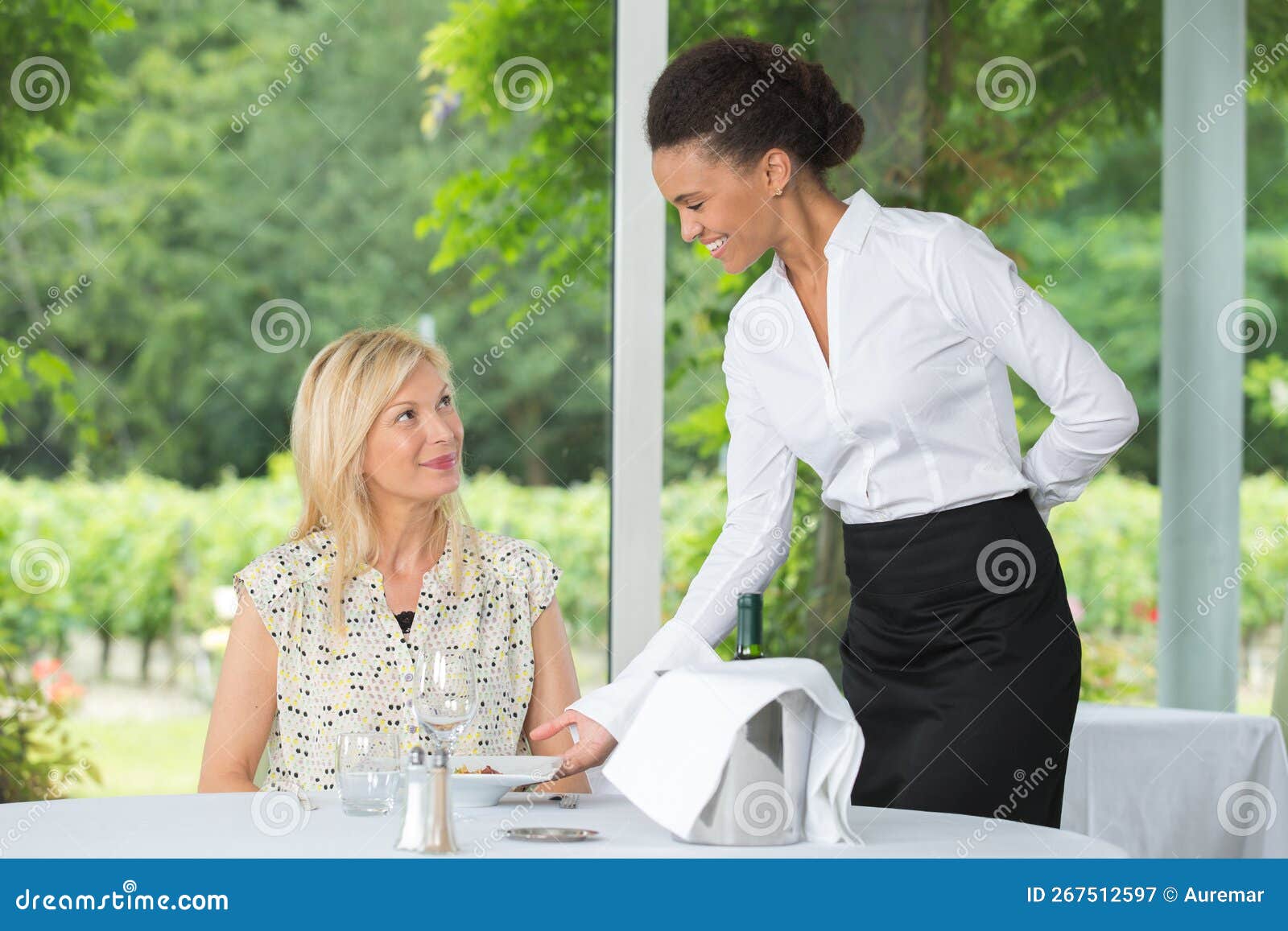 Friendly Waitress Serving Client in Stylish Restaurant Stock Image ...