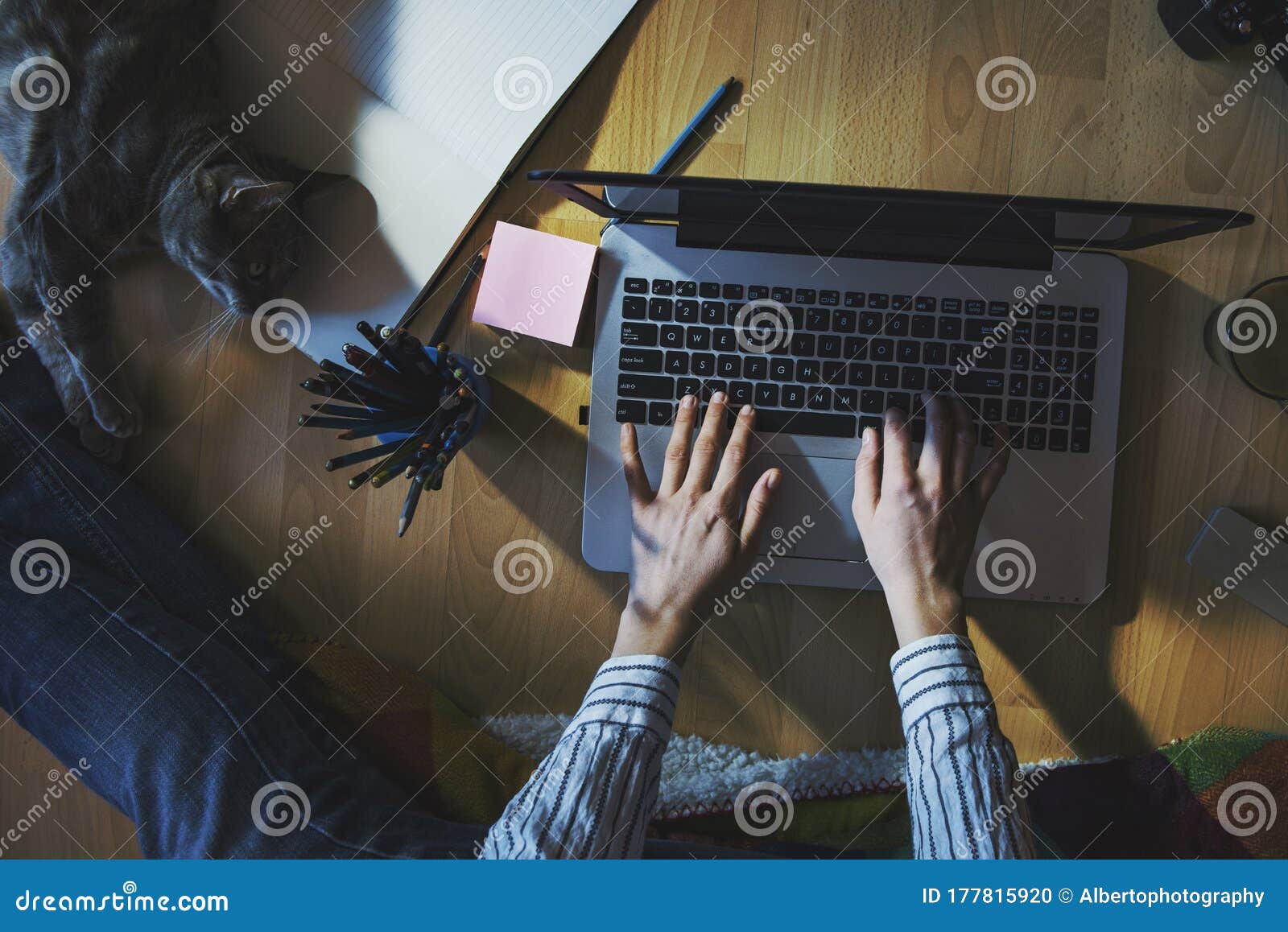 Friendly workspace stock photo. Image of pandemic, friendly - 177815920