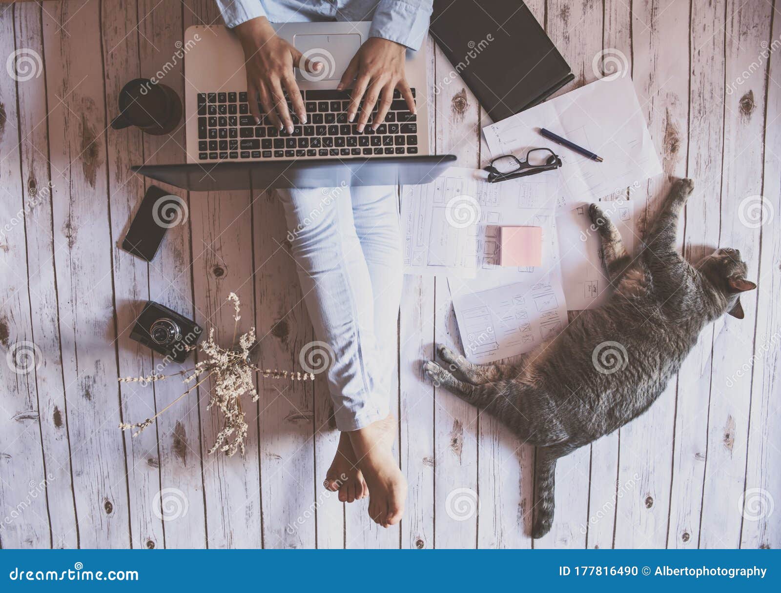 Girl Working with Her Cat from Home Stock Photo - Image of computer ...
