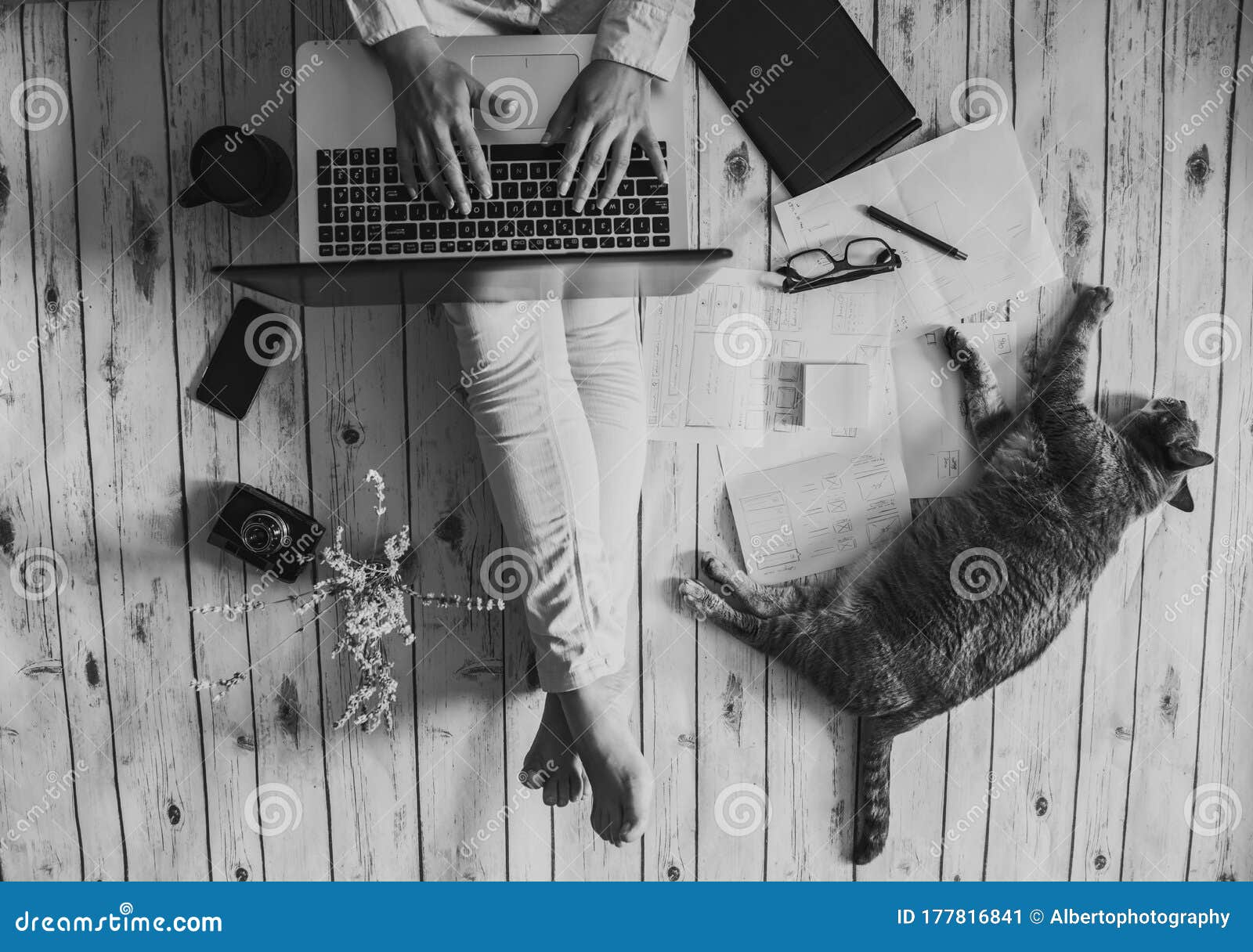 Girl Working with Her Cat from Home Stock Image - Image of social, note ...
