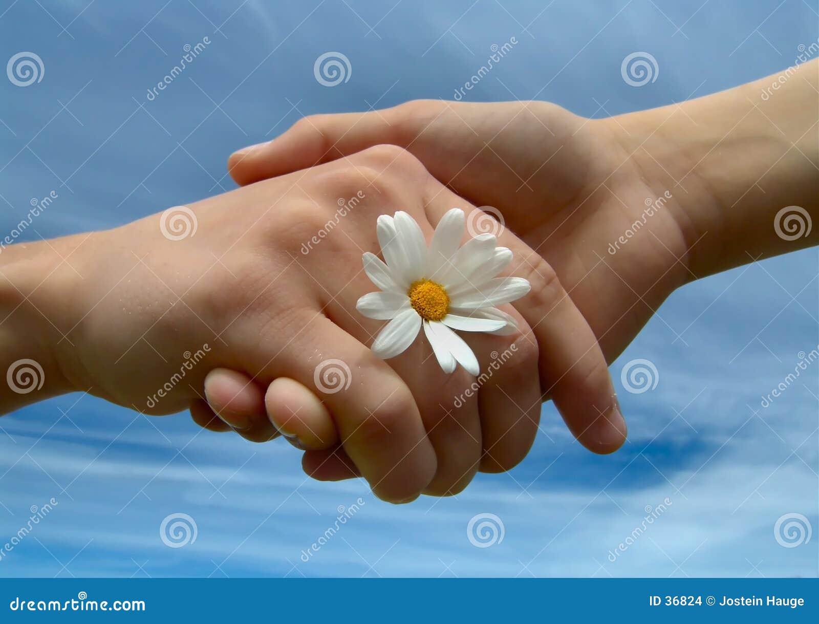 Friends stock photo. Image of future, feeling, caring, friendly - 36824