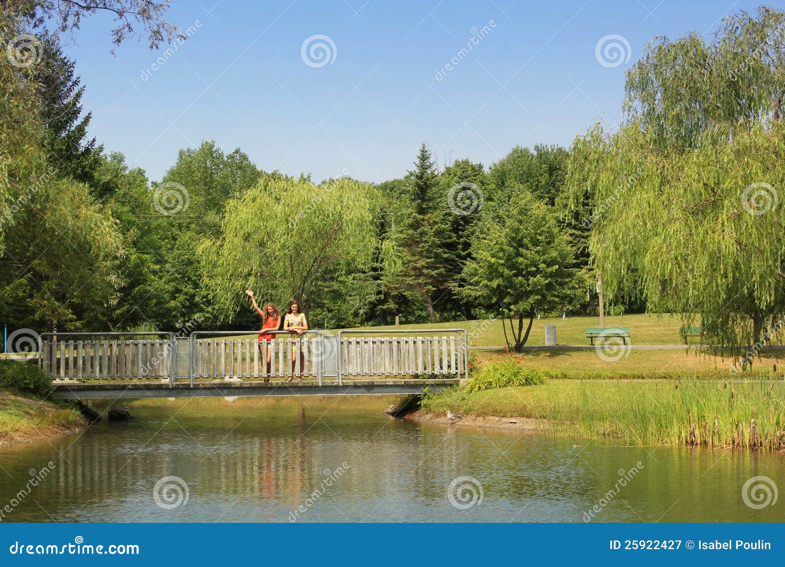 Friends on a bridge stock image. Image of duck, adolescence - 25922427