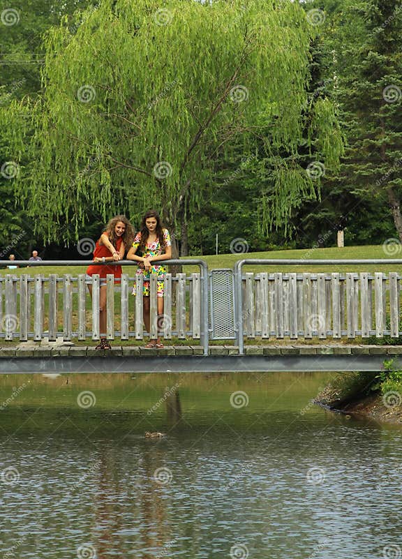 Friends on a bridge stock image. Image of sixteen, complicity - 27345119