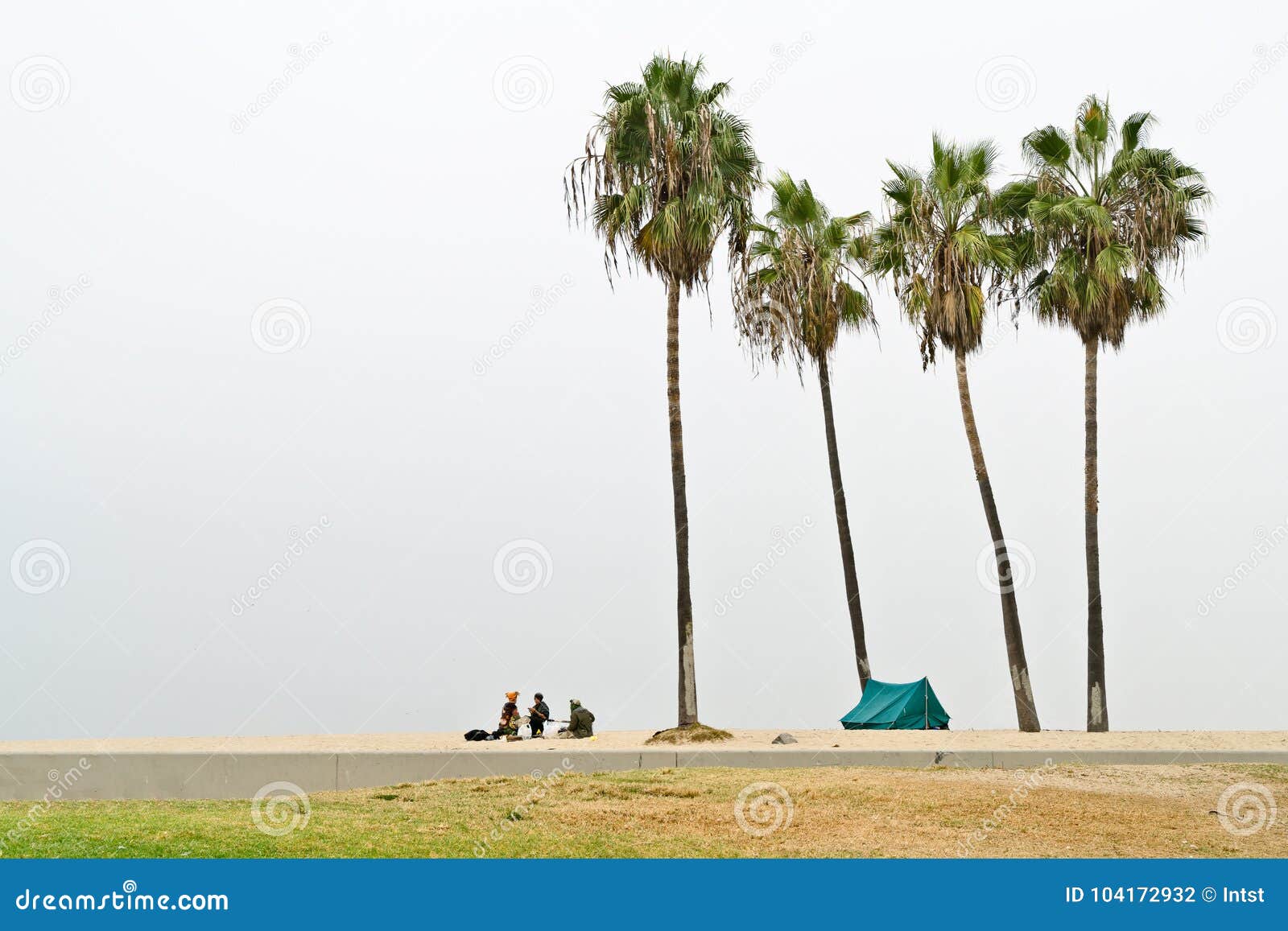 Friends Camping in a Remote Beach Editorial Photography - Image of camp ...