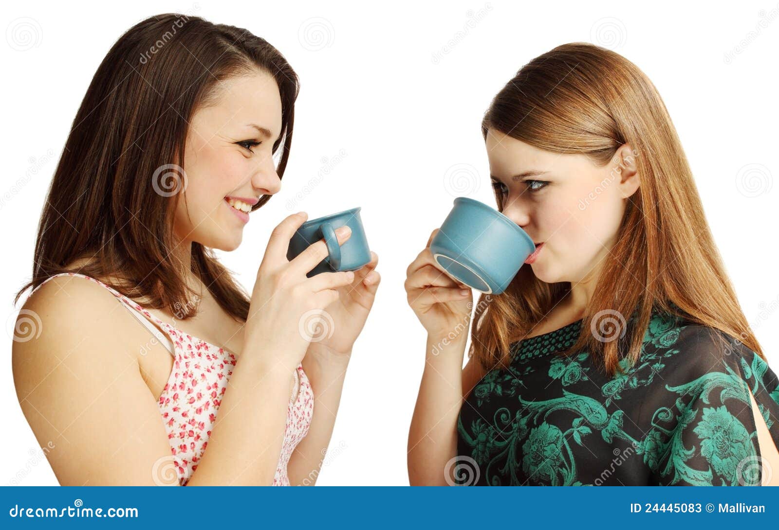 Friends drinking tea stock image. Image of food, gossip - 24445083