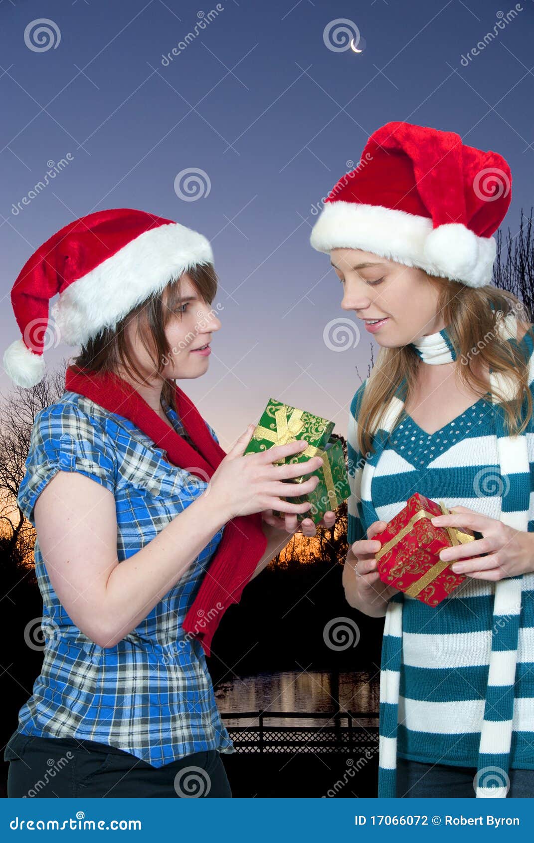 Friends Exchanging Gifts stock photo. Image of person - 17066072