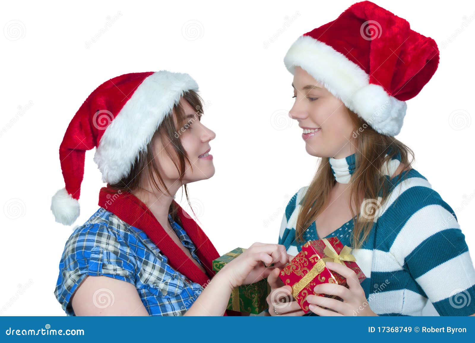 Friends Exchanging Gifts stock image. Image of gift, leisure - 17368749