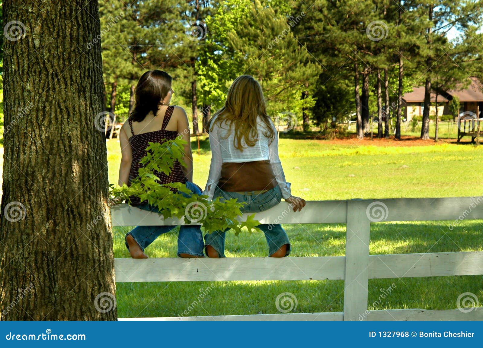 Friends on a Fence stock photo. Image of rail, love, enjoy - 1327968