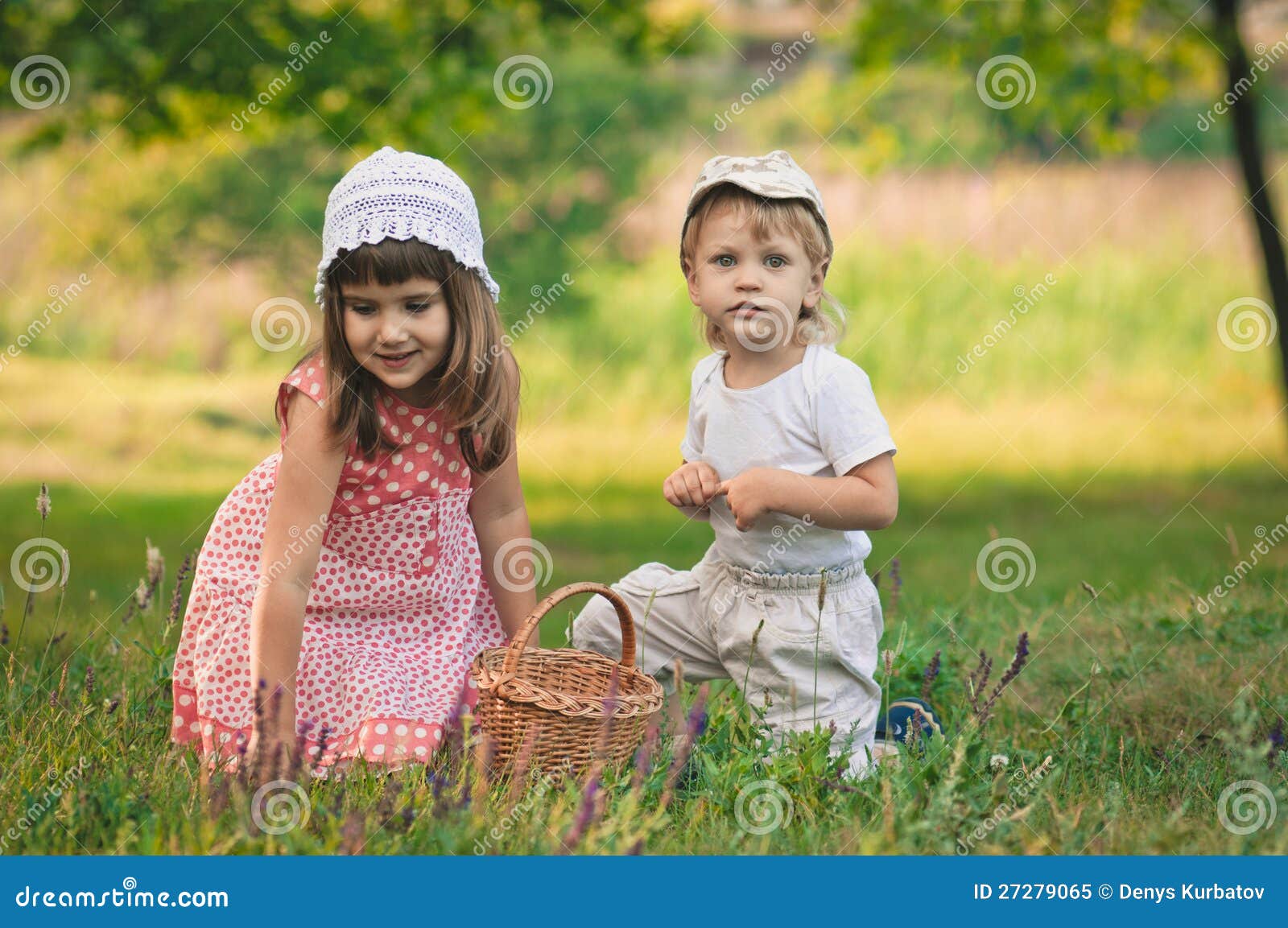 Friends on the field stock image. Image of food, basket - 27279065