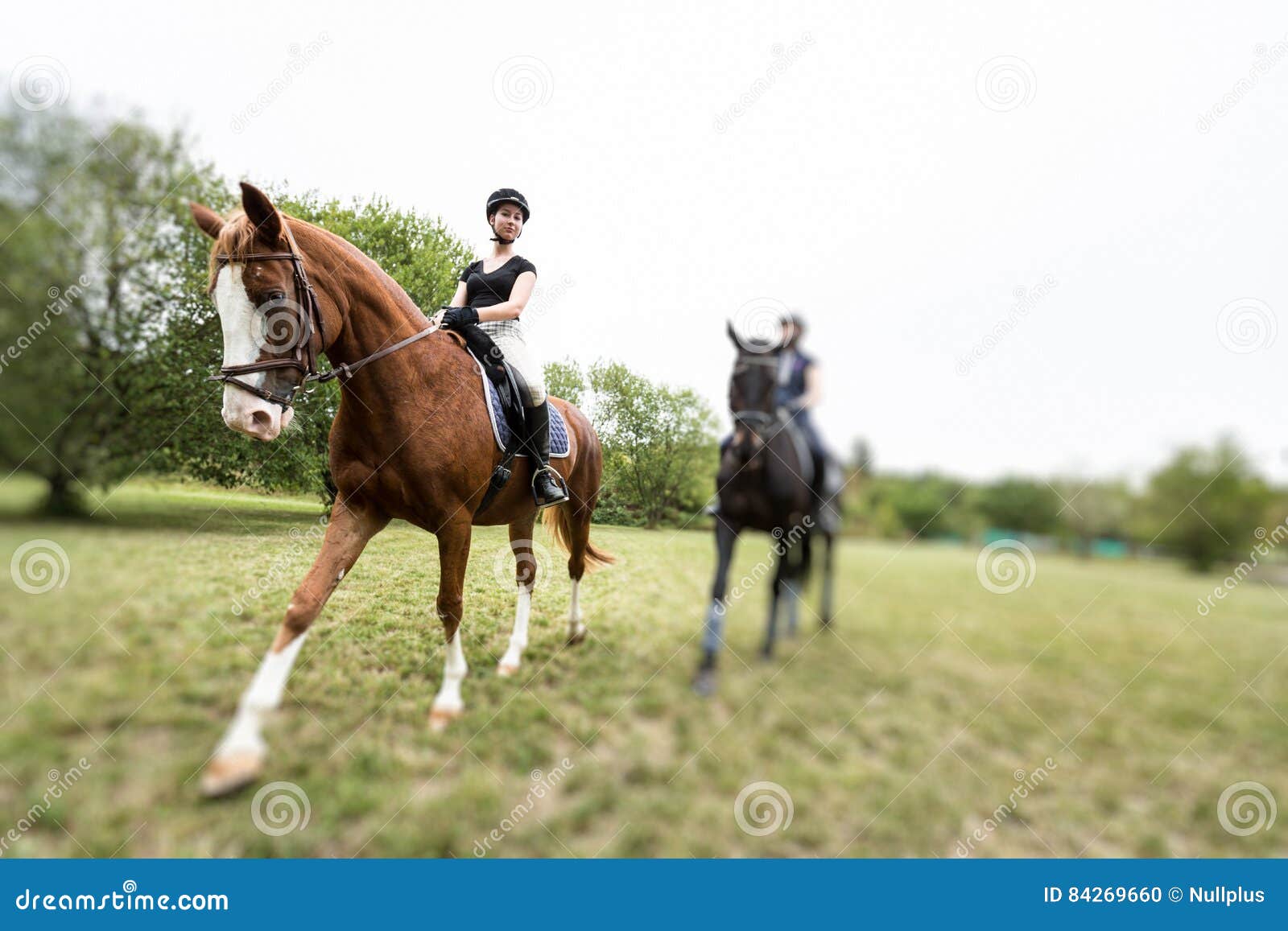 Friends Going for a Ride stock photo. Image of summer - 84269660