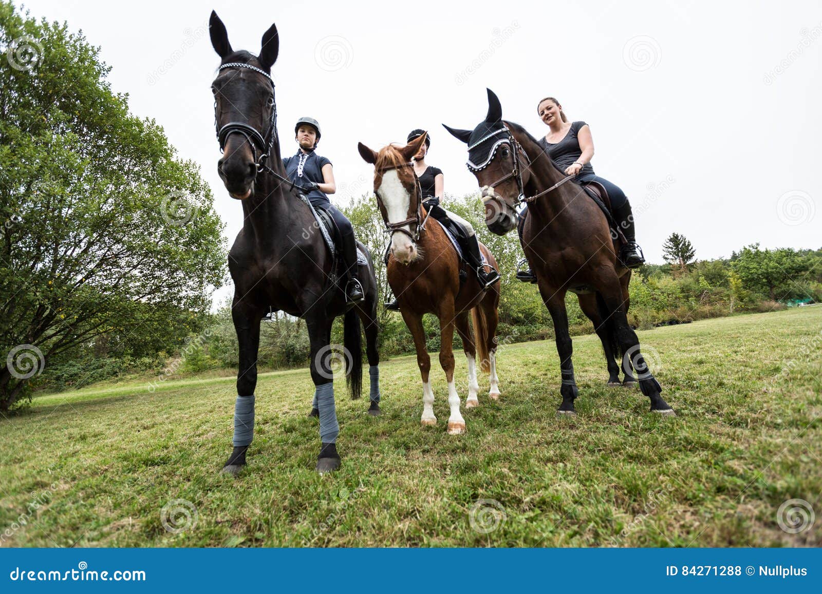 Friends Going for a Ride stock photo. Image of grass - 84271288