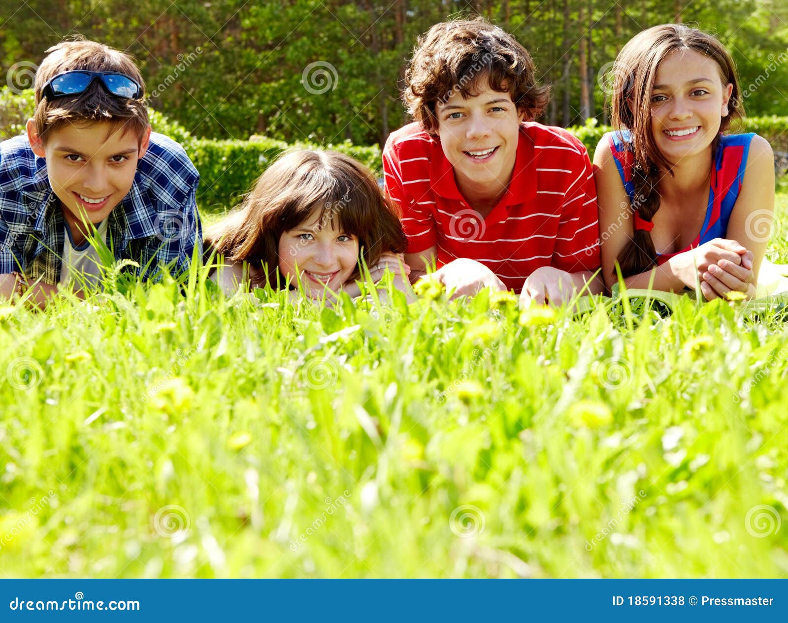 Friends on grass stock photo. Image of people, male, friendship - 18591338