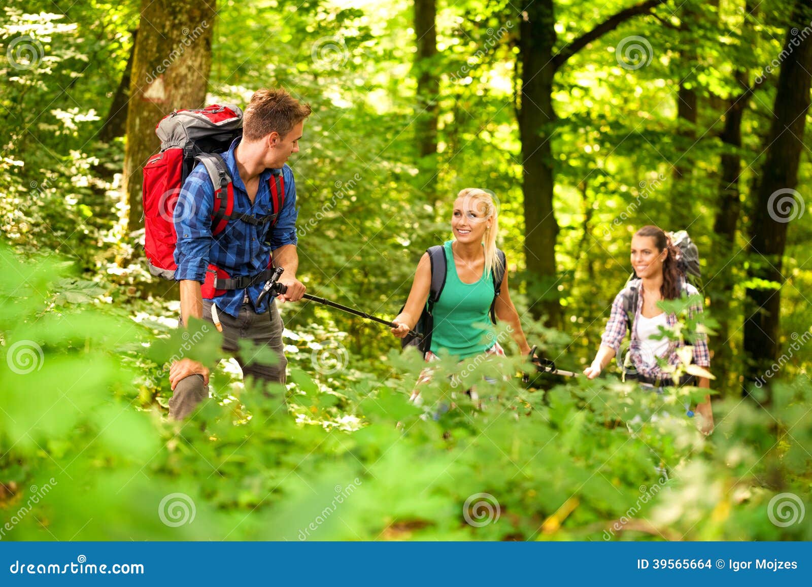 Friends Hiking in the Mountain Stock Photo - Image of friendship ...