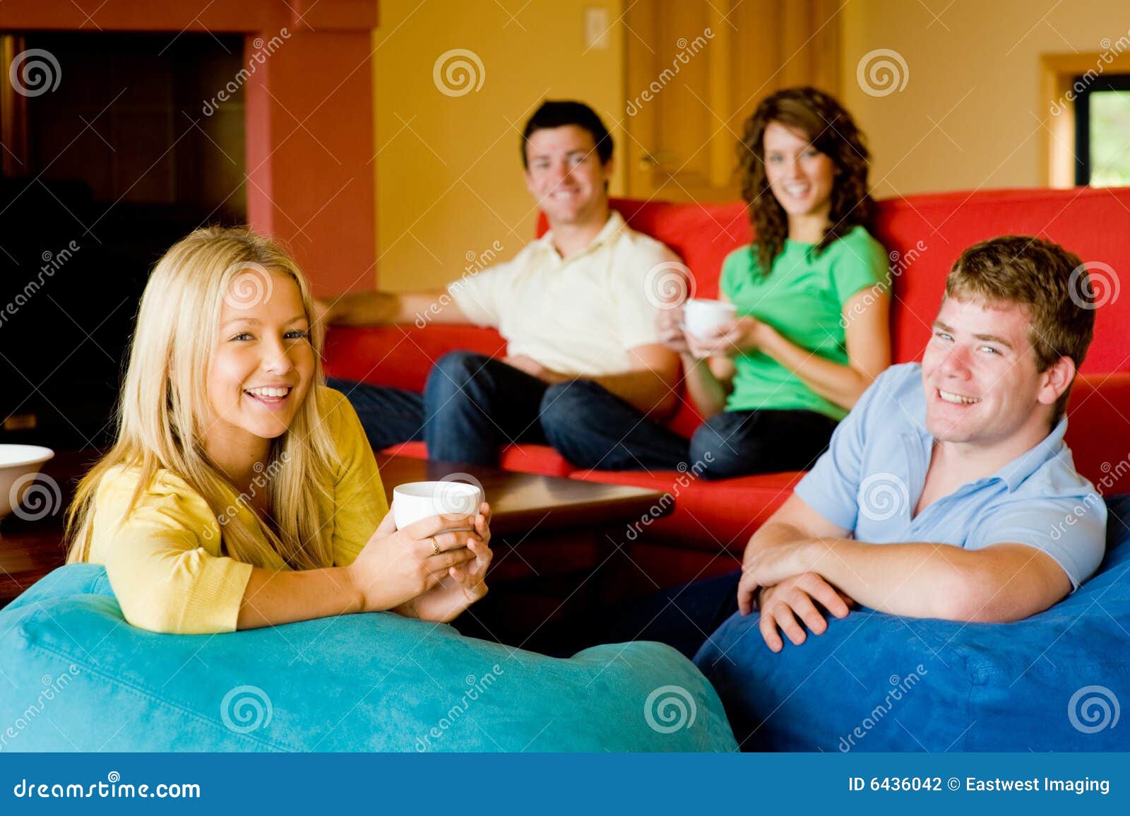 Friends at Home stock photo. Image of holding, inside - 6436042