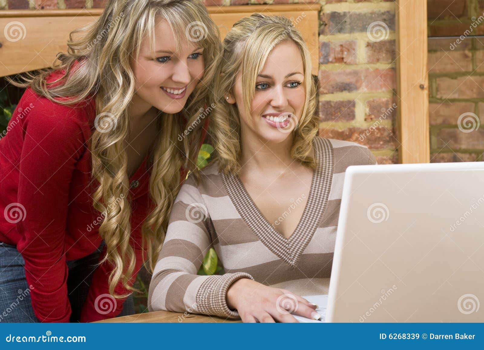 Friends on the Internet stock image. Image of family, working - 6268339