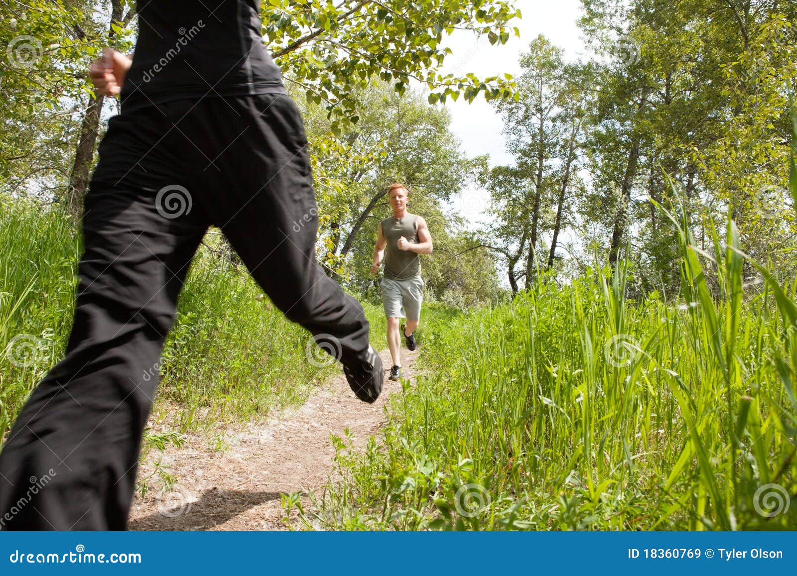 Friends jogging in forest stock image. Image of activity - 18360769