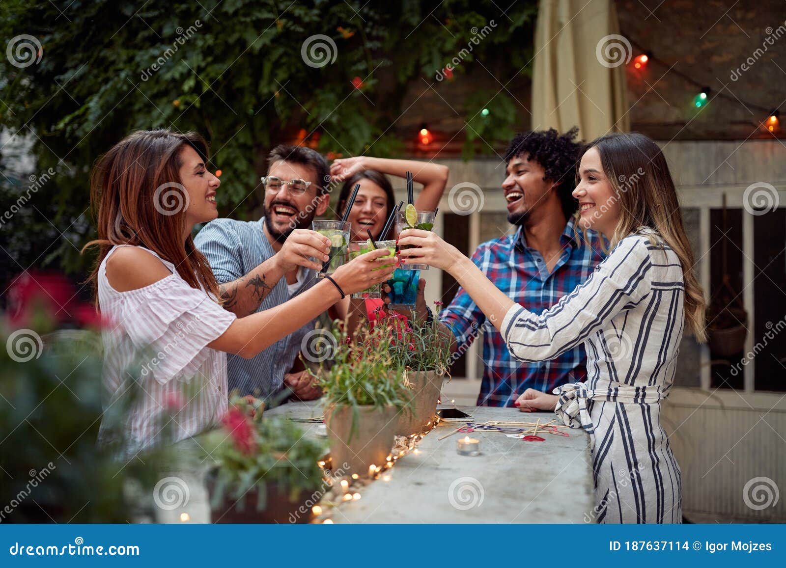 Friends making a toast stock photo. Image of gathering - 187637114