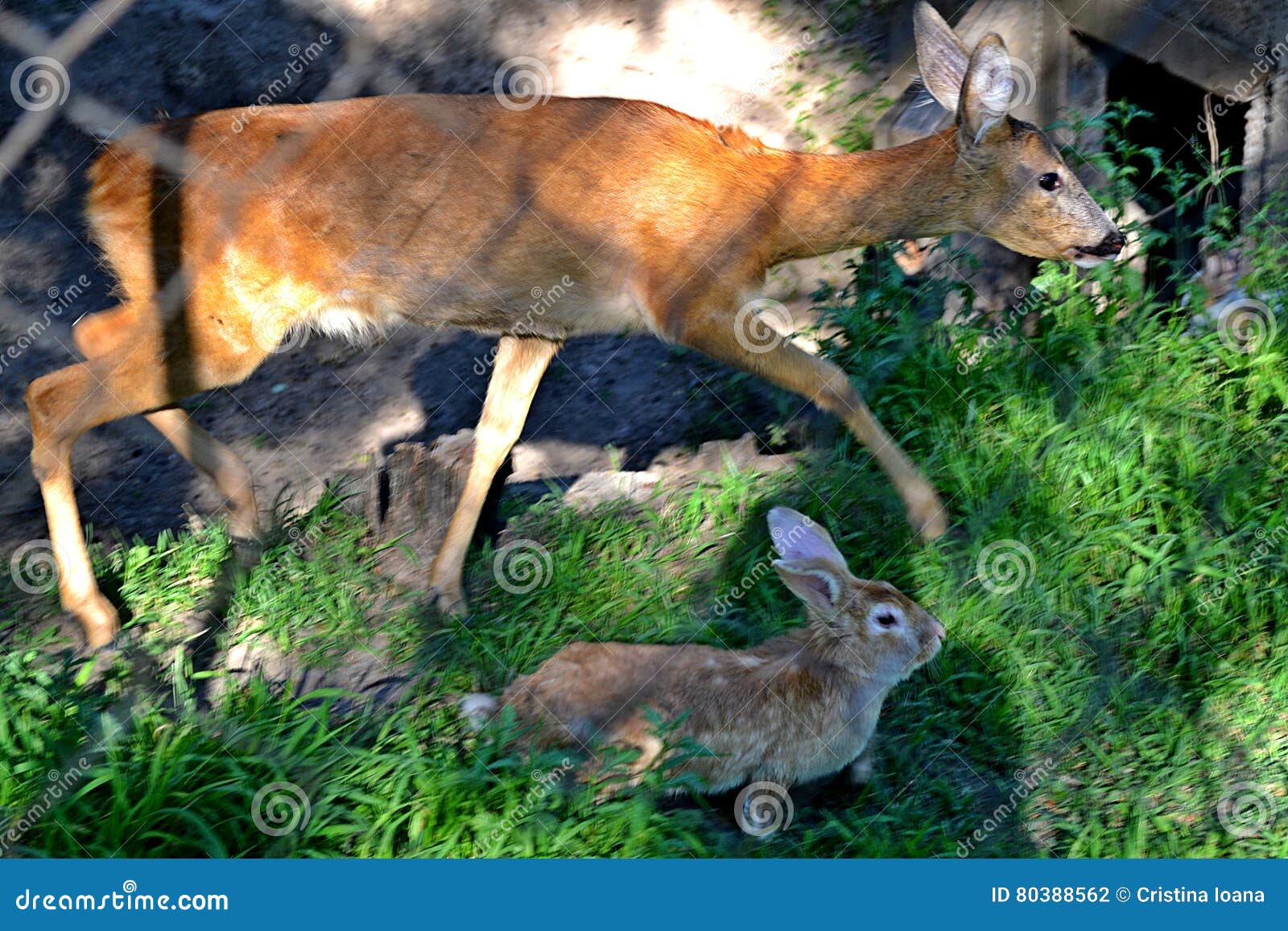 Friends stock photo. Image of love, holiday, vision, labor - 80388562