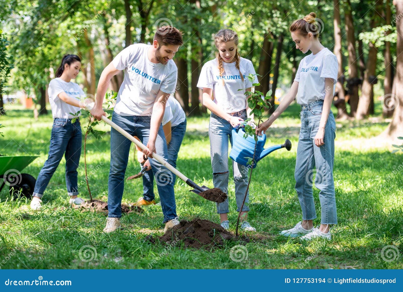 Friends planting new trees stock photo. Image of youngadult - 127753194