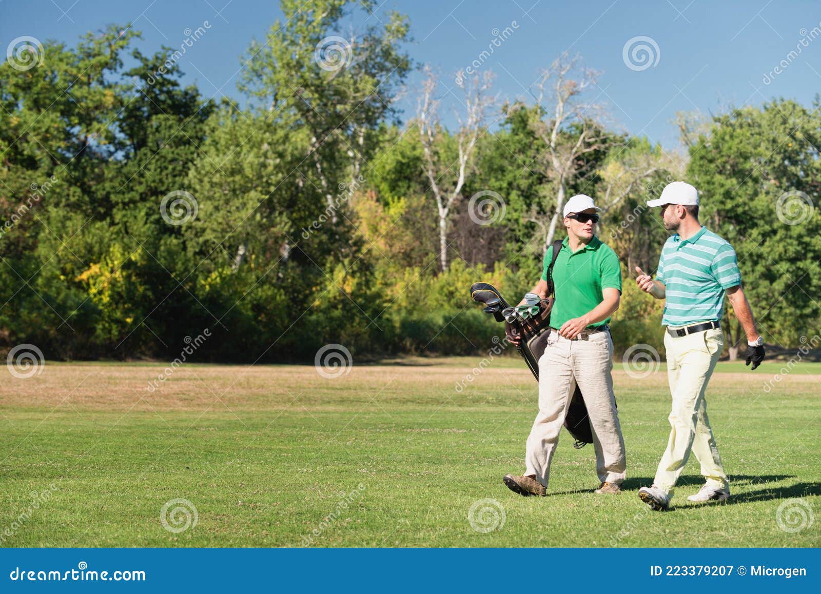 Friends playing golf stock image. Image of playing, people - 223379207