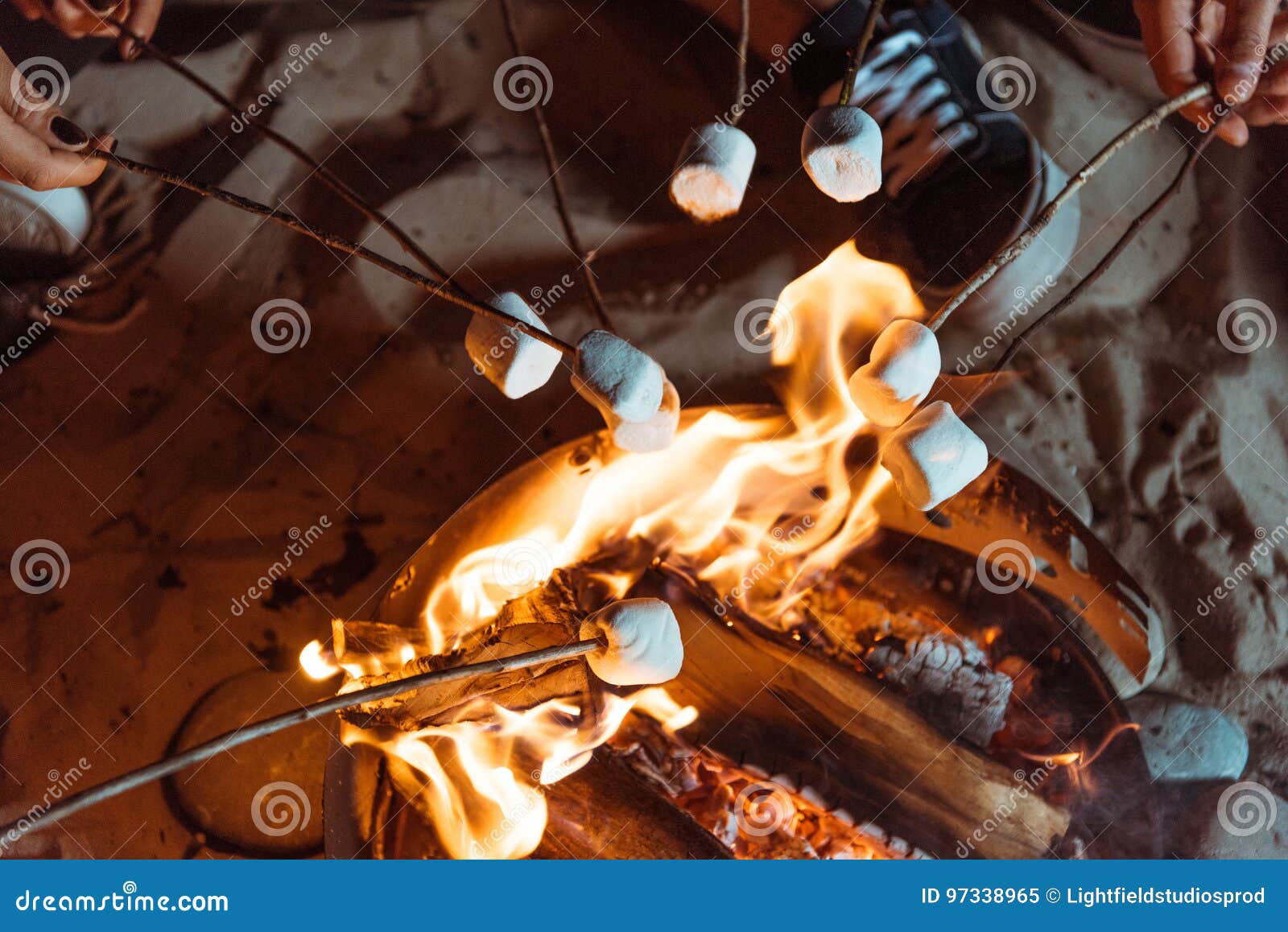 Friends Roasting Sweet Marshmallows on Bonfire Stock Image - Image of ...