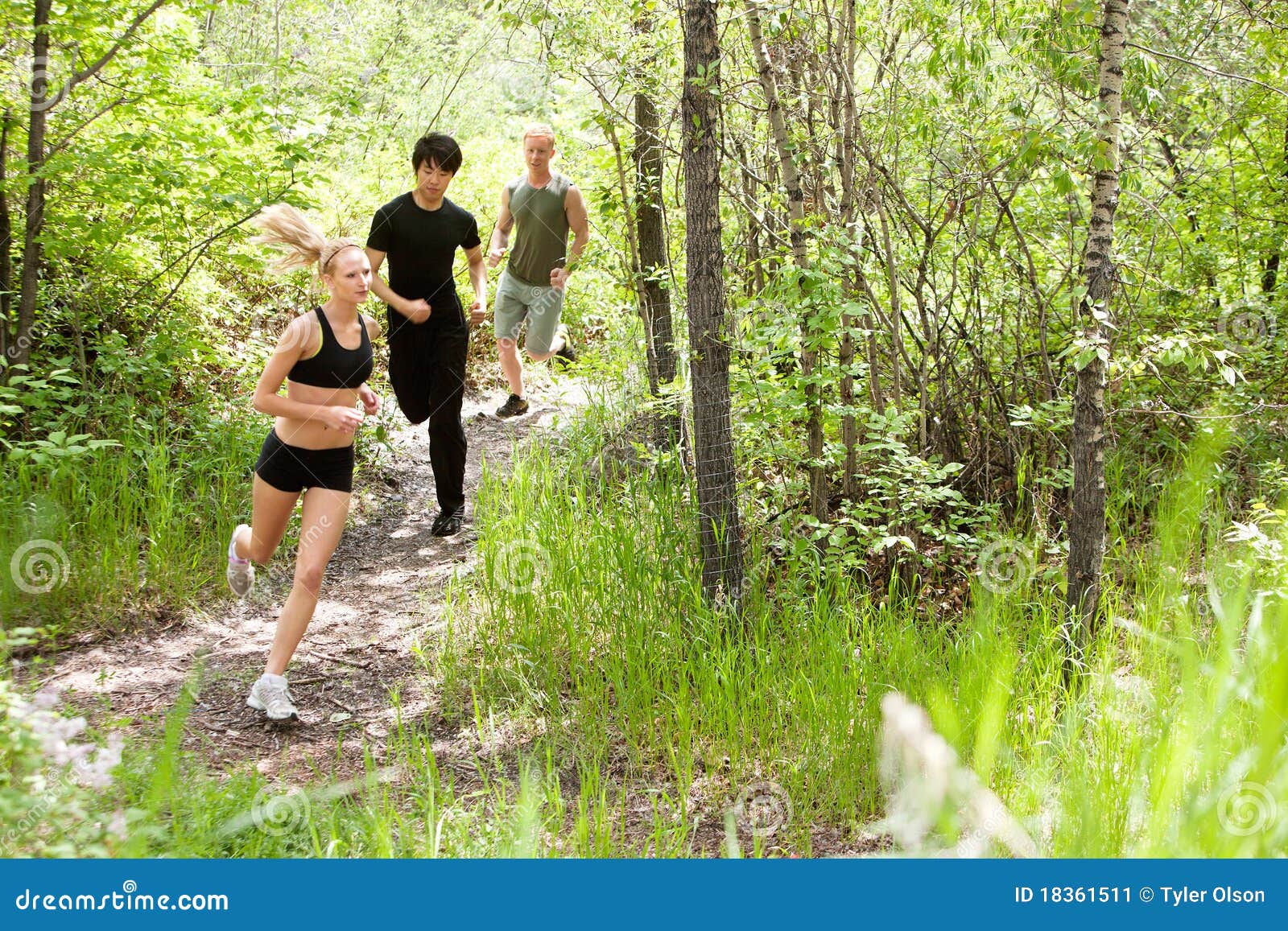 Friends Running in the Forest Stock Image - Image of exercise, fresh ...