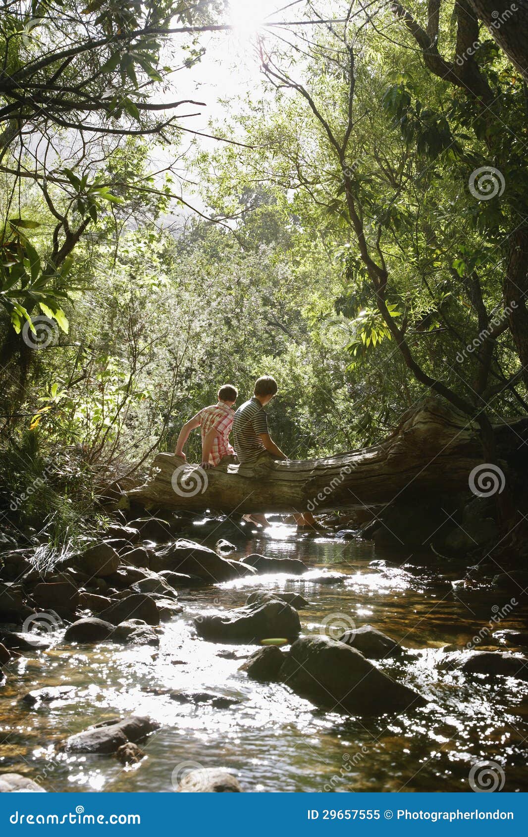 Friends Sitting on Log Over Forest Stream Stock Image - Image of friend ...