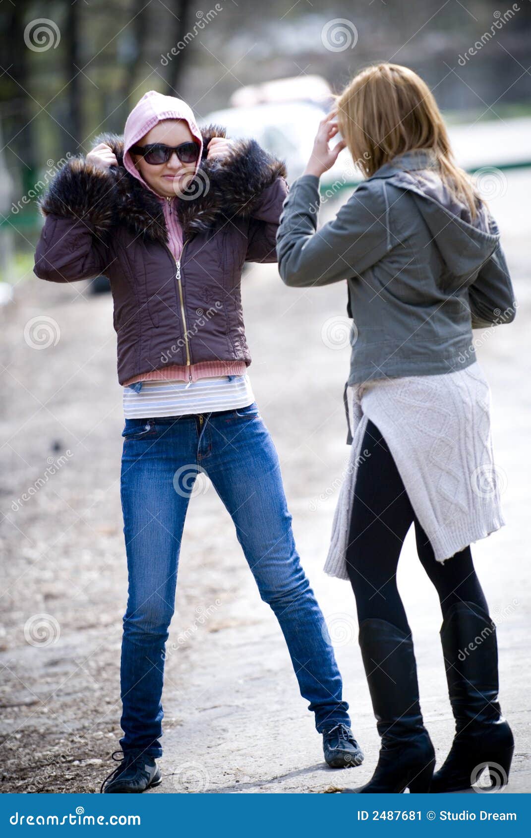 Friends standing stock image. Image of women, vertical - 2487681