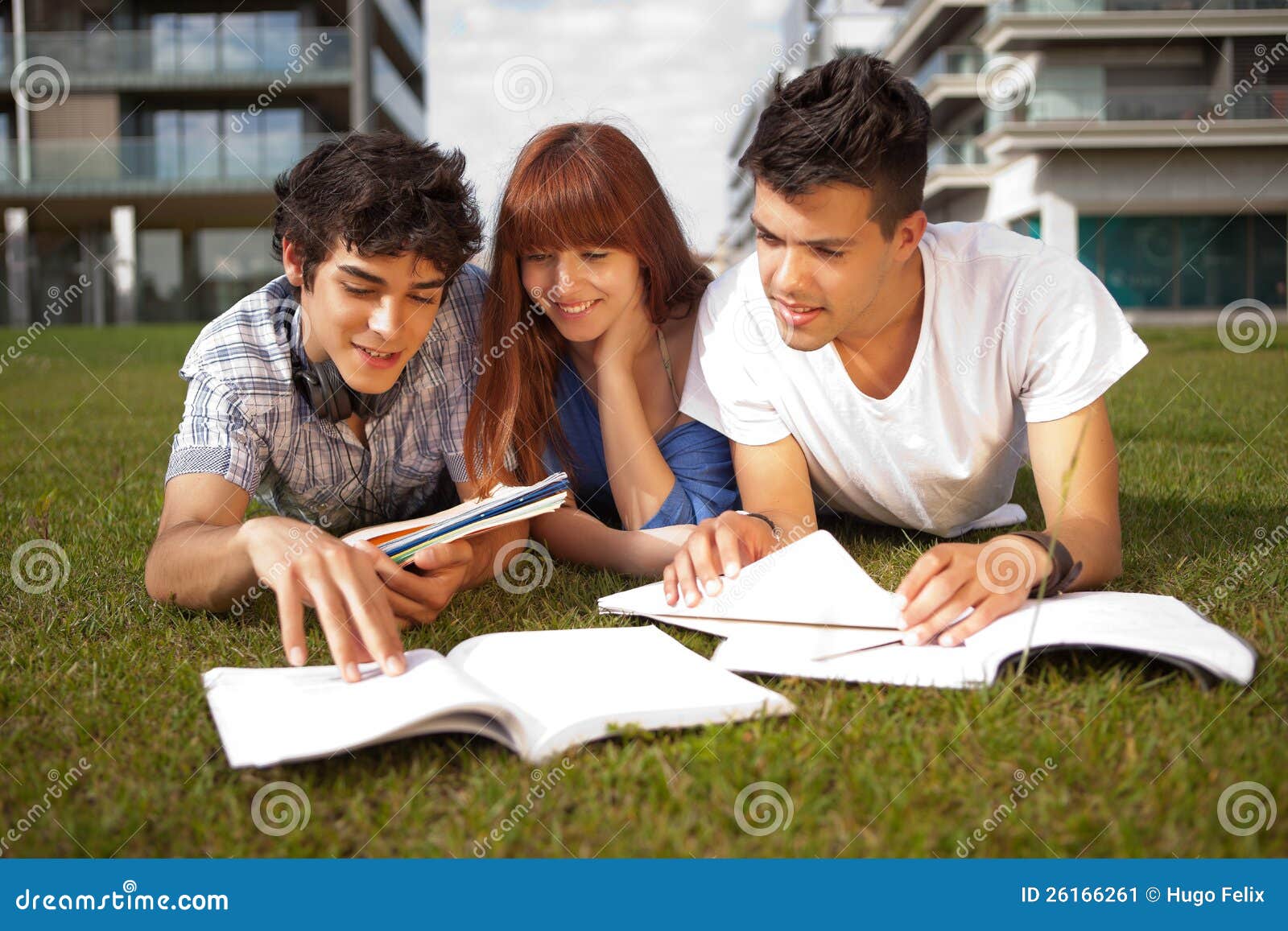 Friends studying stock image. Image of green, exam, group - 26166261