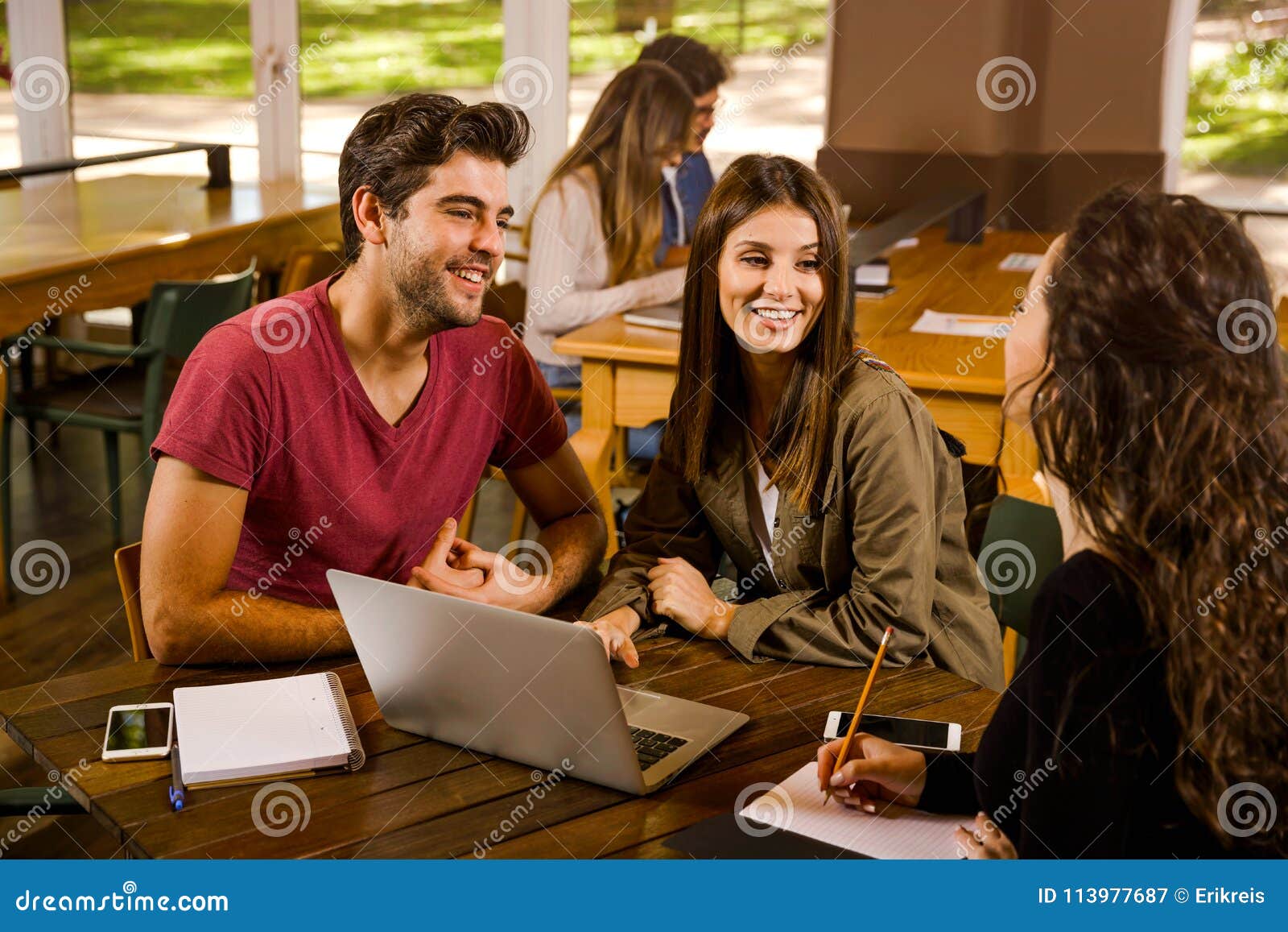 Friends studying together stock image. Image of male - 113977687