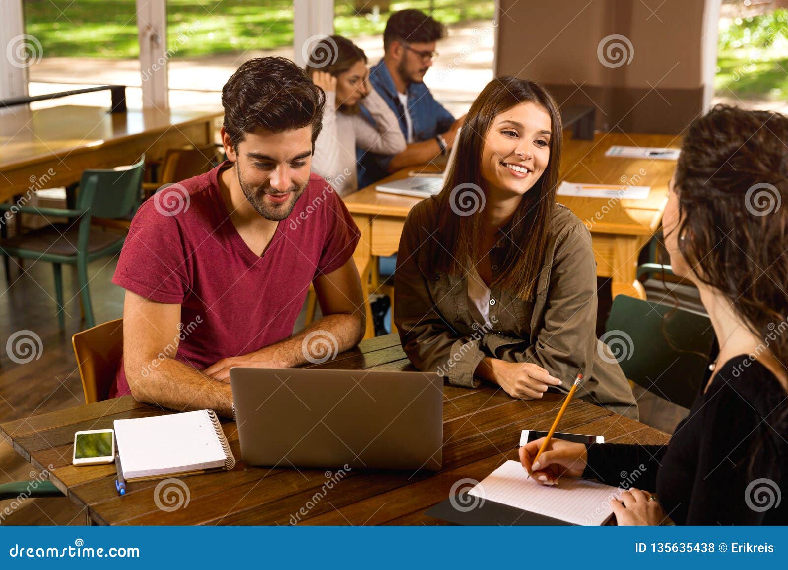 Friends studying together stock photo. Image of couple - 135635438