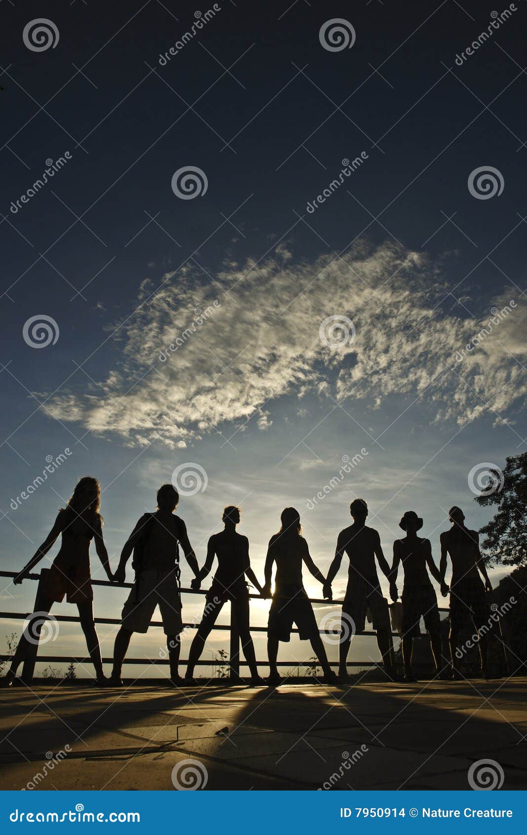 Friends on sunset stock photo. Image of community, expressions - 7950914