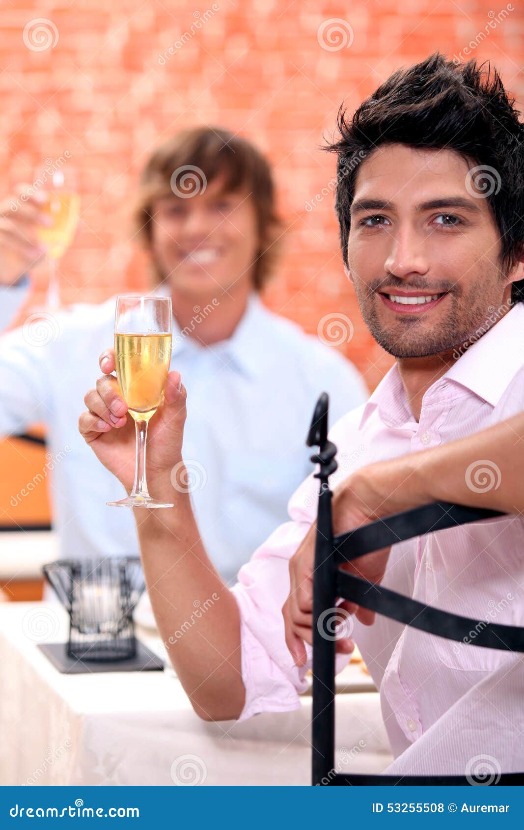 Friends Toasting with Champagne Stock Photo - Image of drink, life ...