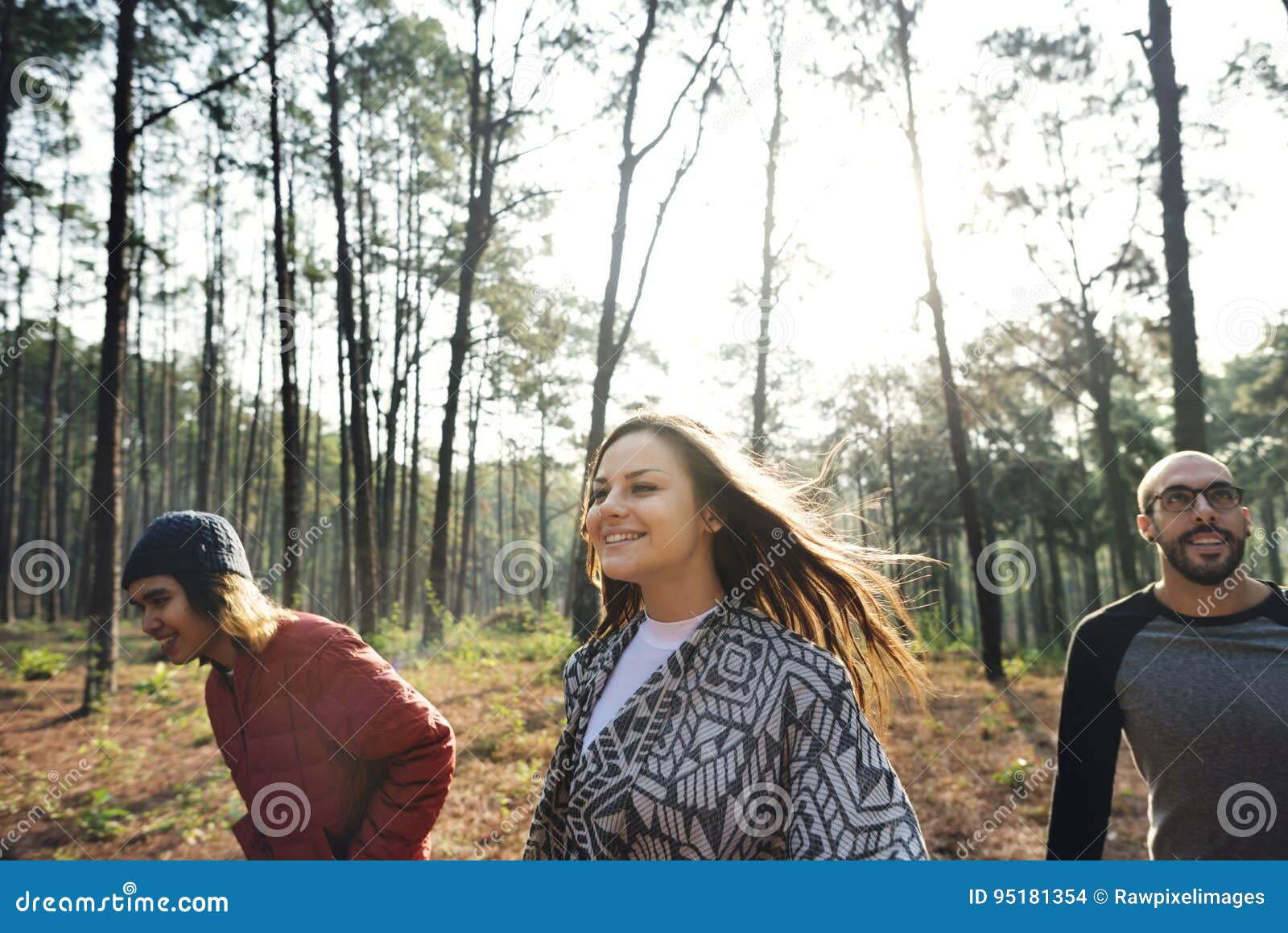 Friends Travel Together in the Forest Stock Photo - Image of friendship ...