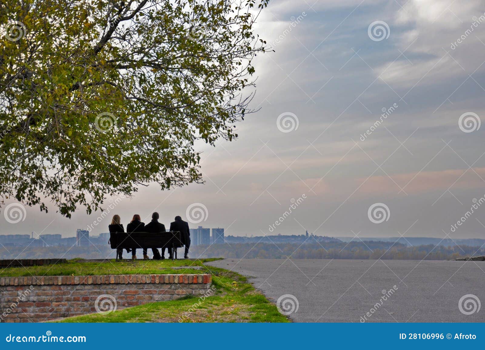 Friends under the tree stock photo. Image of people, relaxing - 28106996