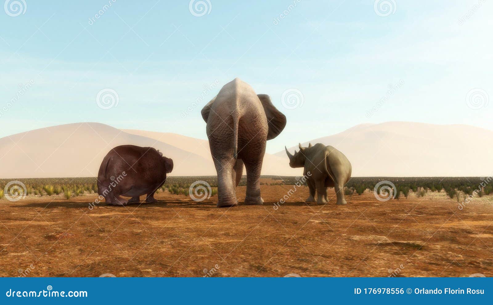 Back View of Animals Walking at Safari Stock Illustration ...