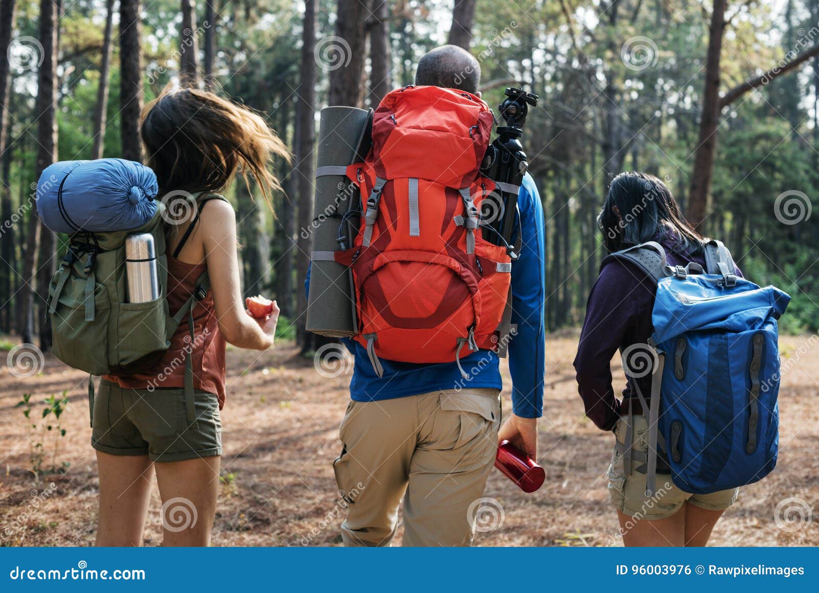 Friends Walking Exploring Outdoors Concept Stock Photo - Image of green ...