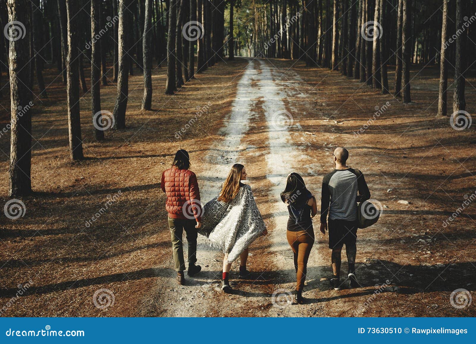 Friends Walking Outdoors Forest Concept Stock Photo - Image of camping ...