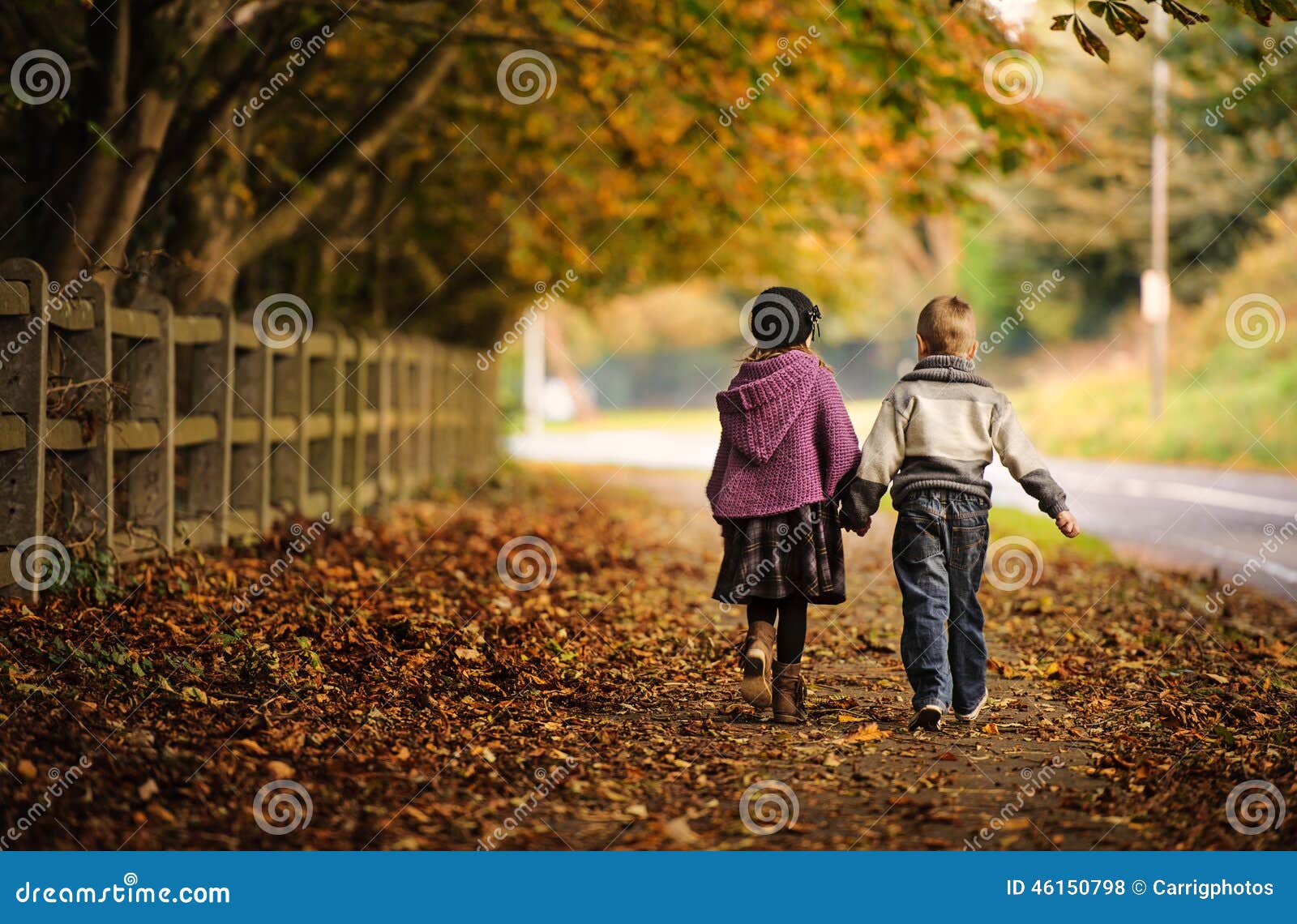 Friends stock photo. Image of nature, walks, beautiful - 46150798