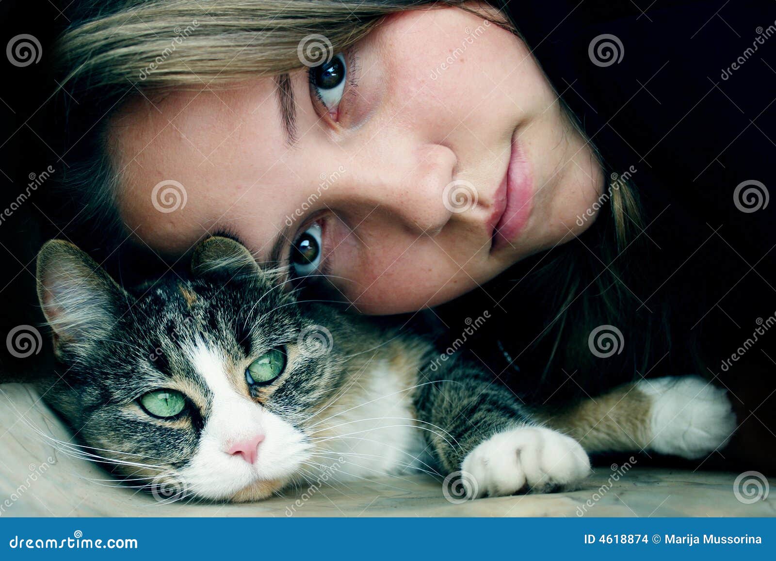 Friendship with cat stock photo. Image of ideas, eyes - 4618874
