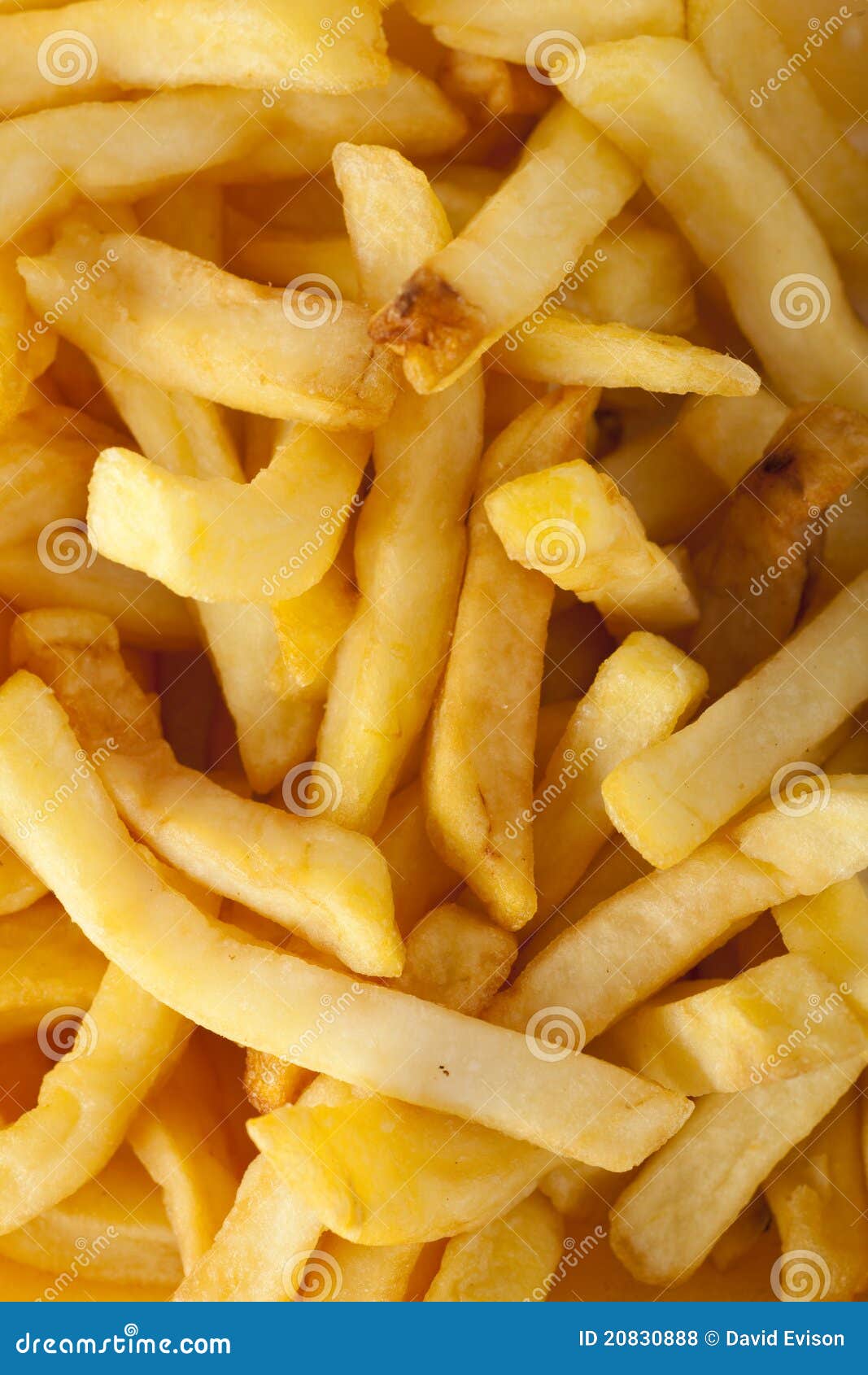 Fries / Chips. stock photo. Image of fries, tomato, ingredient - 20830888