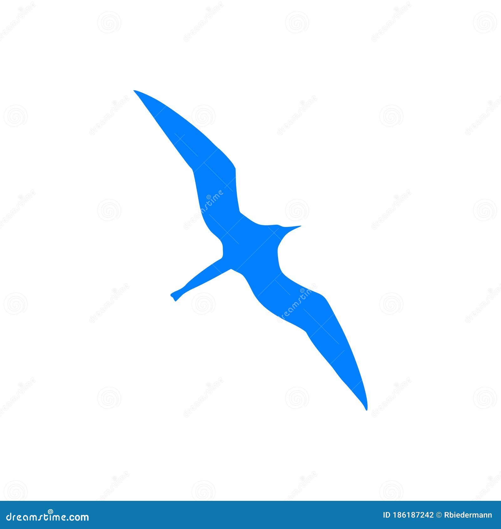 Frigate Bird and Background Stock Vector - Illustration of fregata ...