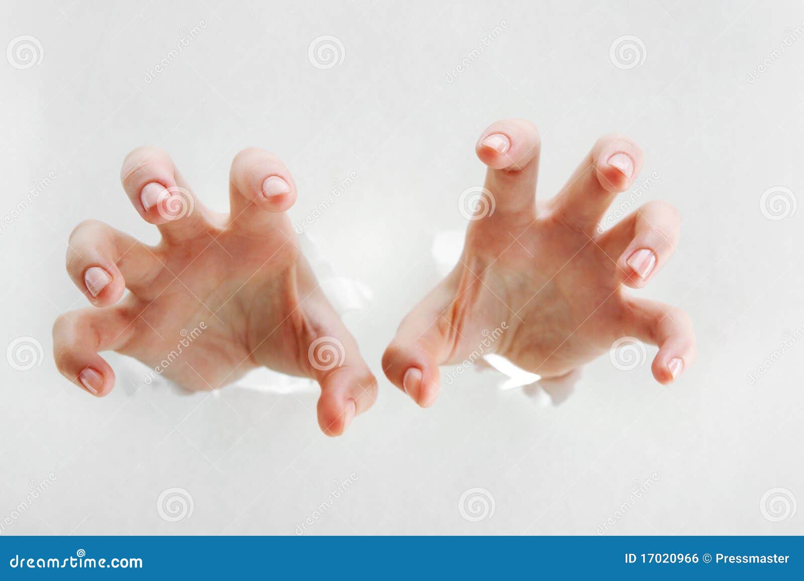 Fright stock photo. Image of close, gesticulating, clawing - 17020966