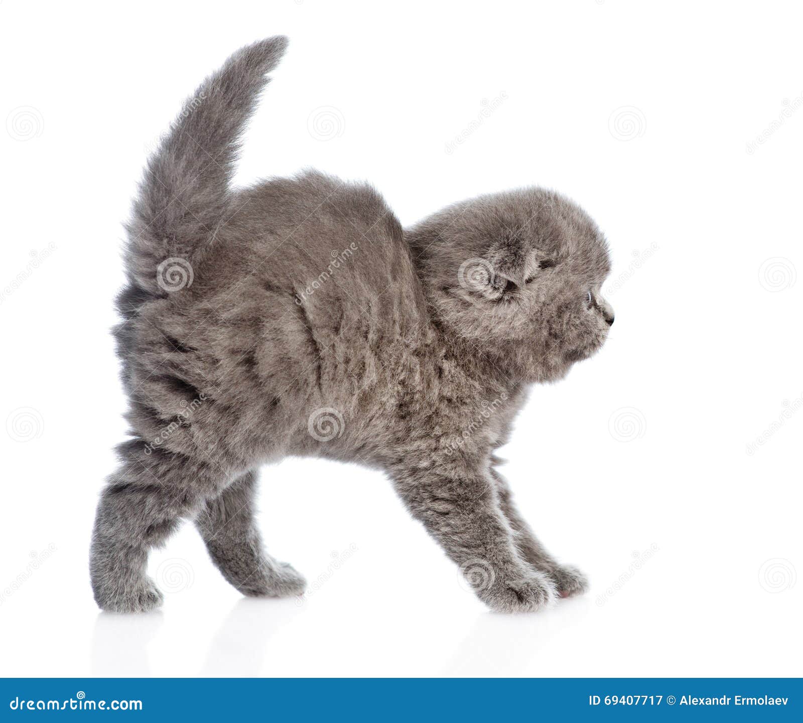 Profile Of A Frightened, Surprised Caucasian Man With Glasses Looking ...