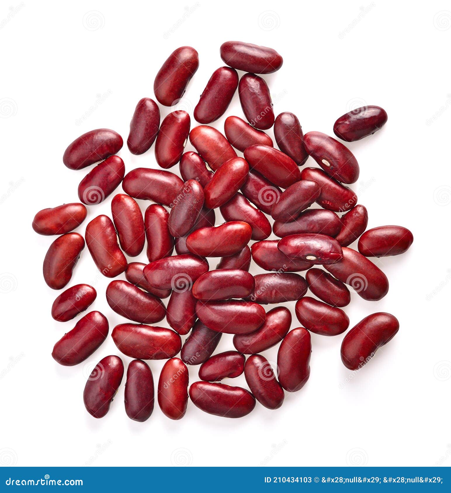 Frijol Rojo Aislado Sobre Fondo Blanco. Imagen de archivo - Imagen de ...