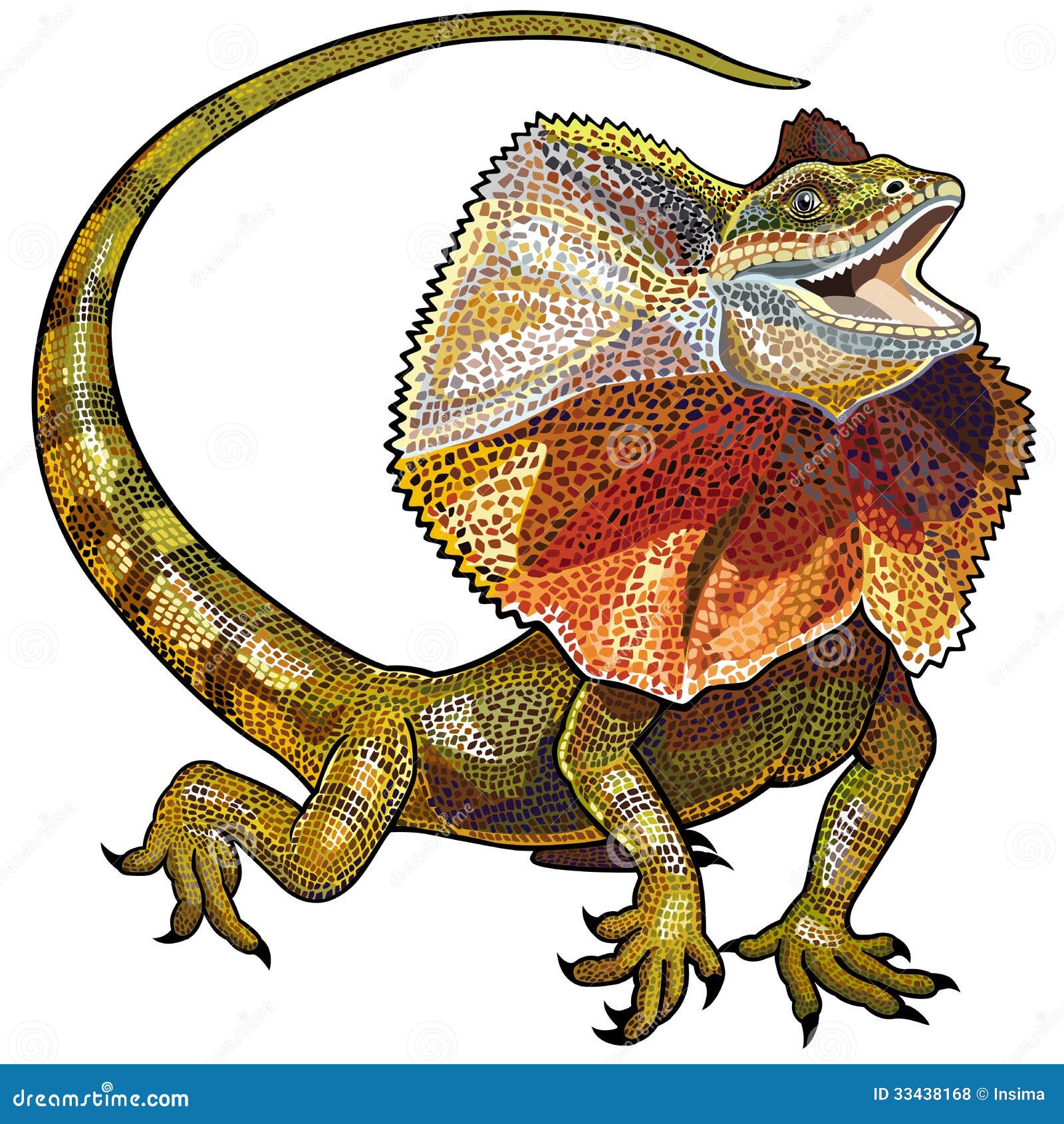 Frill necked lizard stock vector. Illustration of wildlife - 33438168