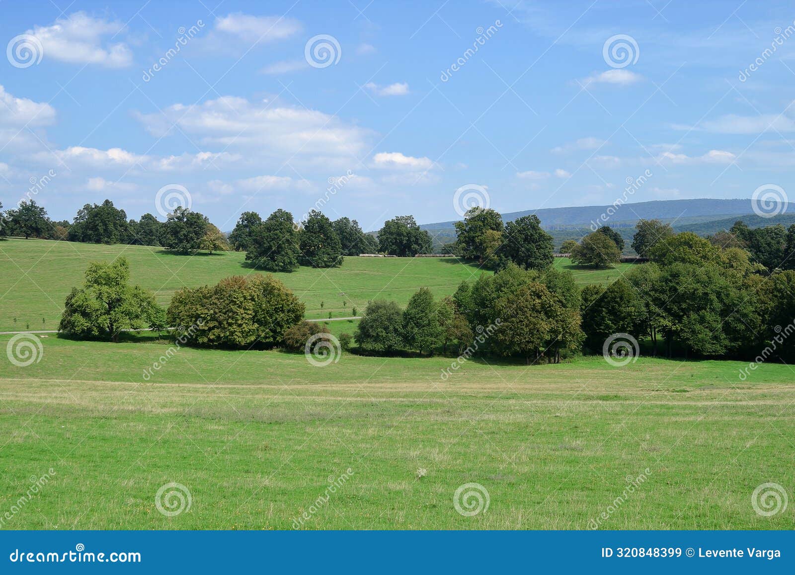Fringe of the forest stock image. Image of nature, landscape - 320848399