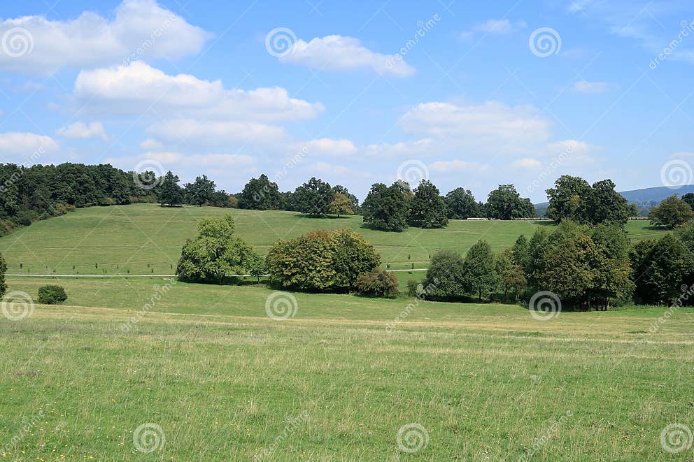 Fringe of the forest stock image. Image of field, landscape - 320848407
