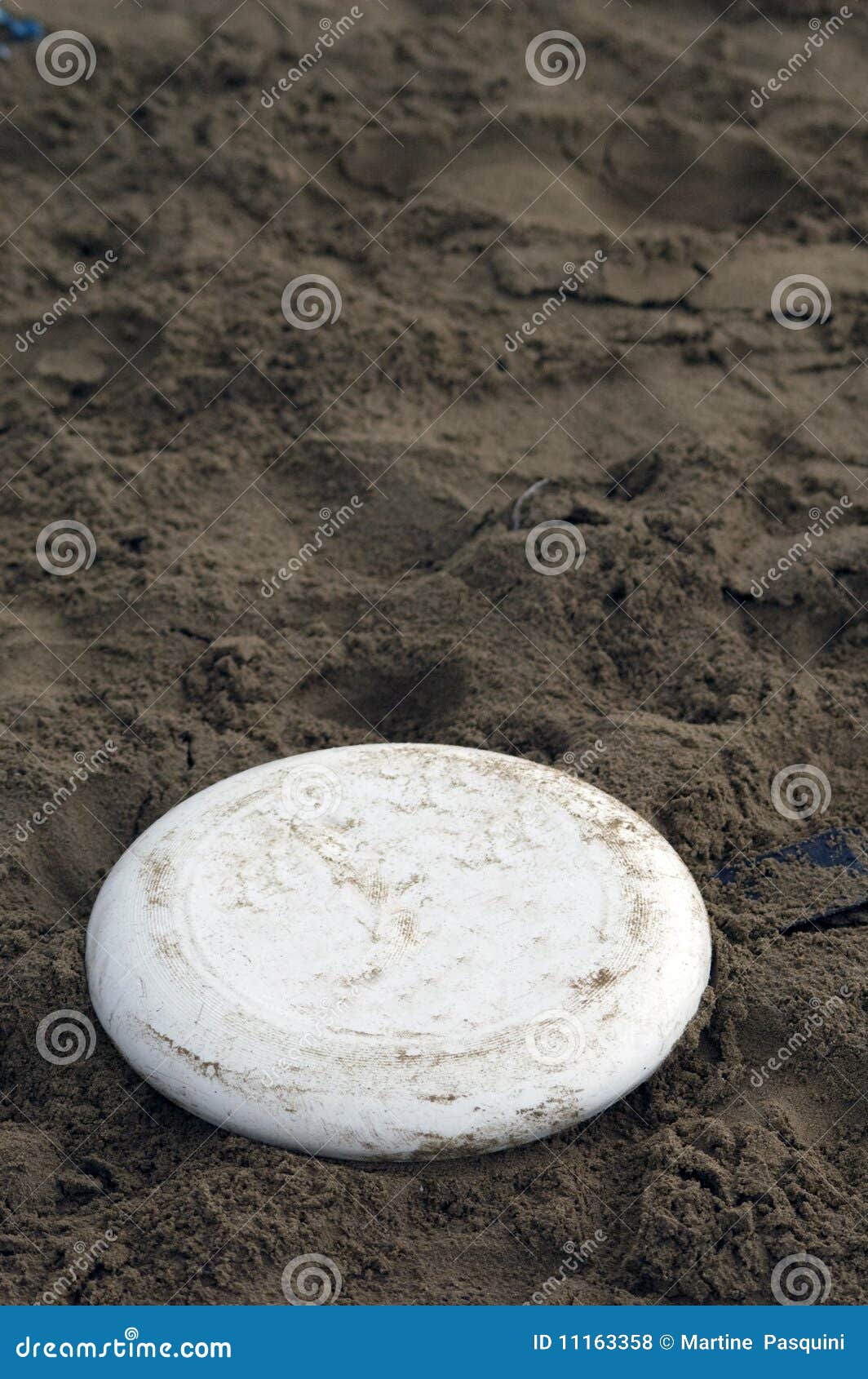 Frisbee stock photo. Image of game, fresbee, frisbi, sandy - 11163358